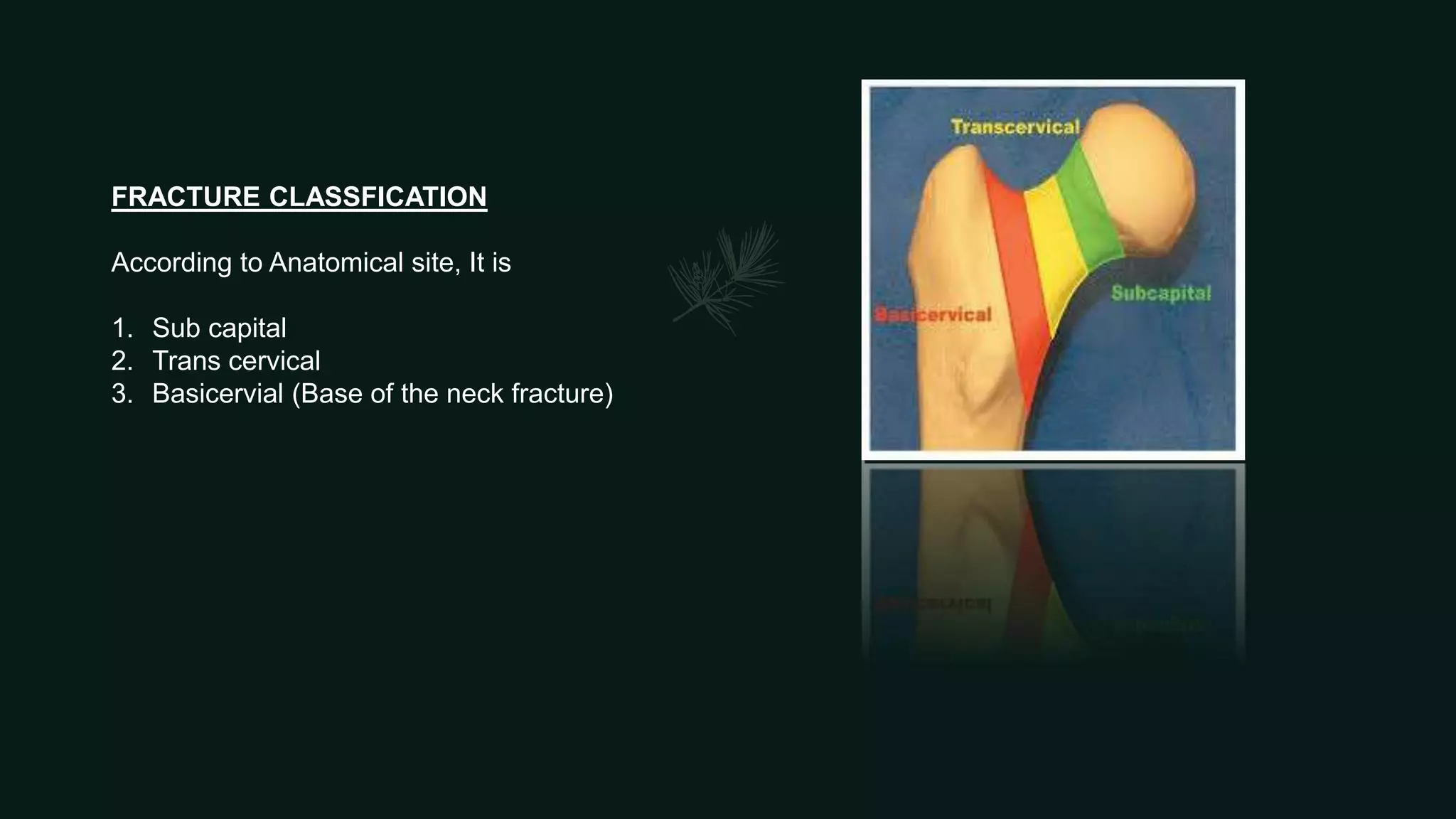fracture of neck of femur | PPTX