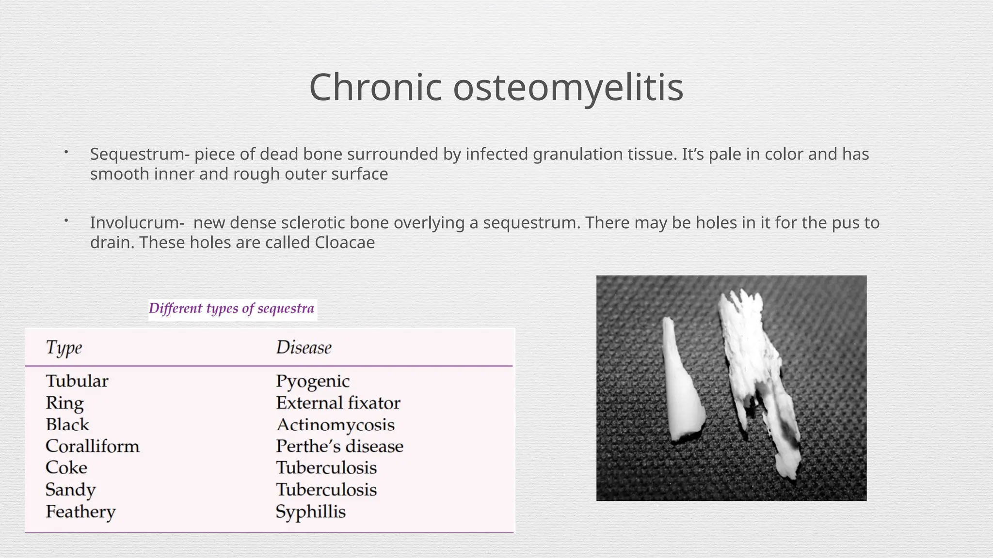 Orthopaedic Important X-rays for final year MBBS. | PPT