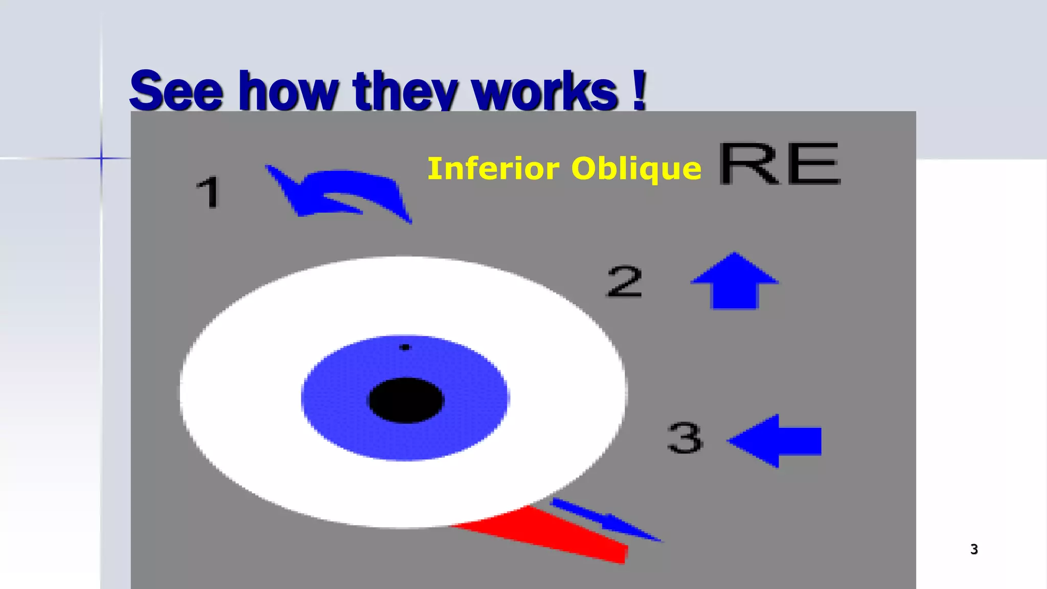 Orthoptics by ankit varshney | PPT
