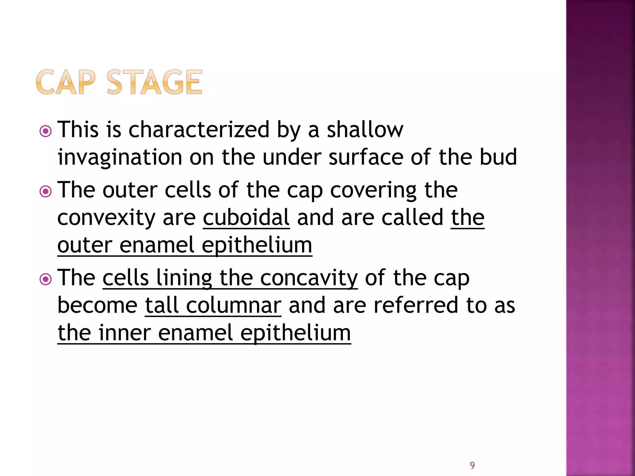 Development of the dentition | PPTX