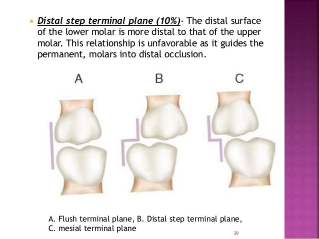 Development of the dentition