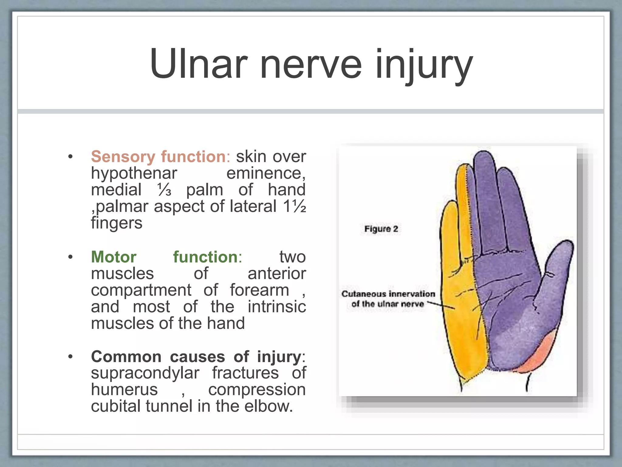 Peripheral nerve injuries | PPTX
