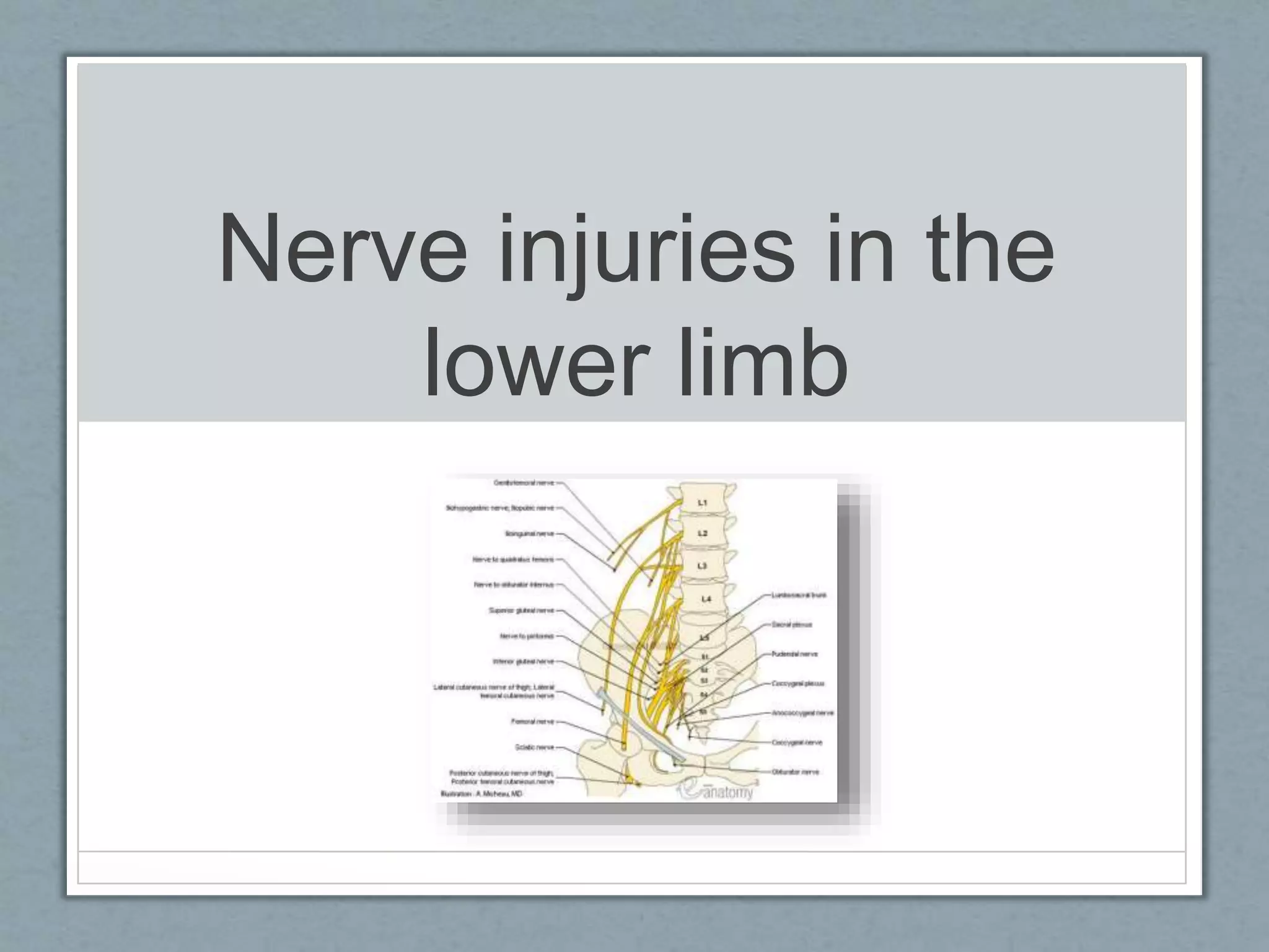 Peripheral nerve injuries | PPTX
