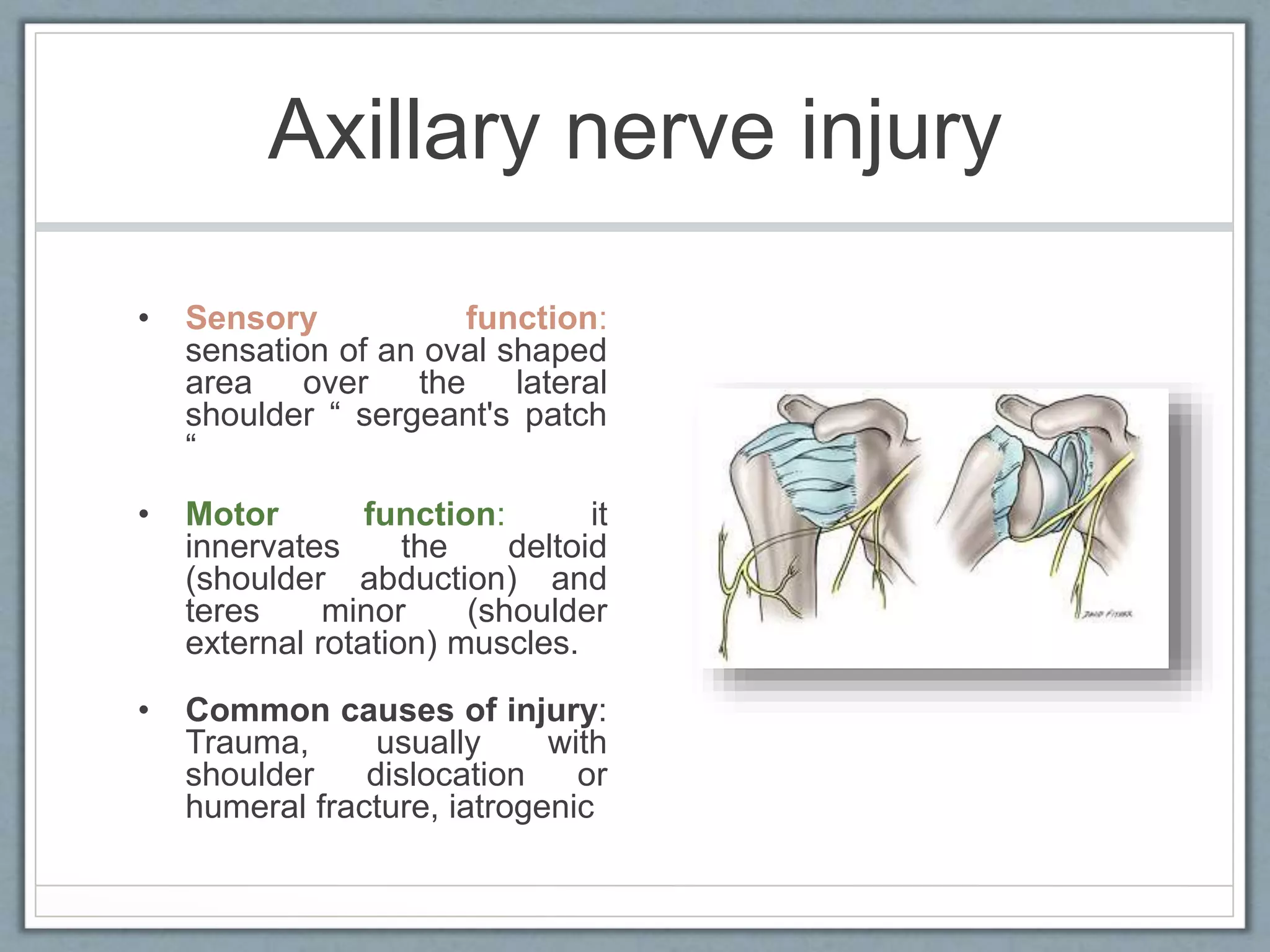 Peripheral nerve injuries | PPTX
