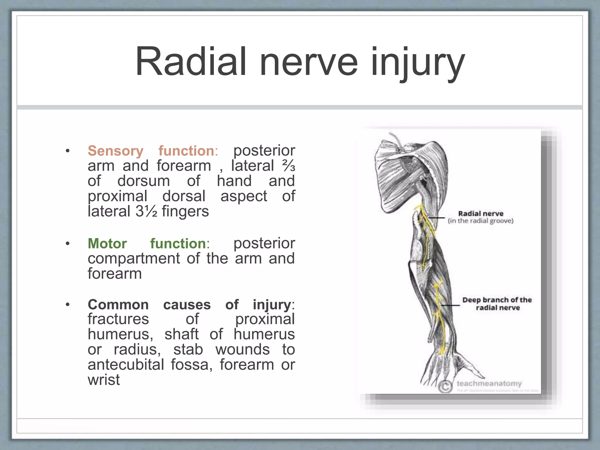 Peripheral nerve injuries | PPTX
