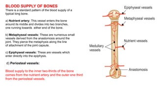 Anatomy of bone, General orthopedics and fracture healing | PPTX