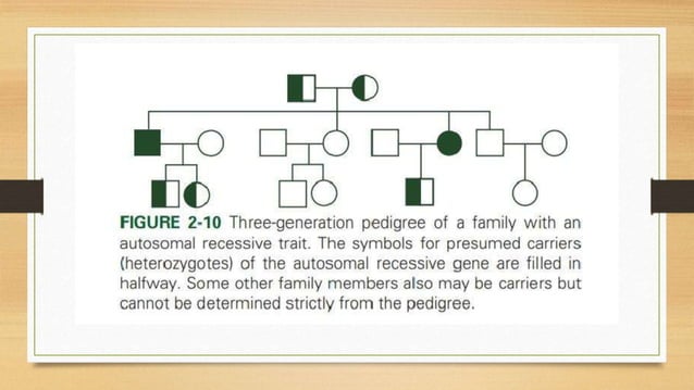 Genetics in Orthodontics | PPTX