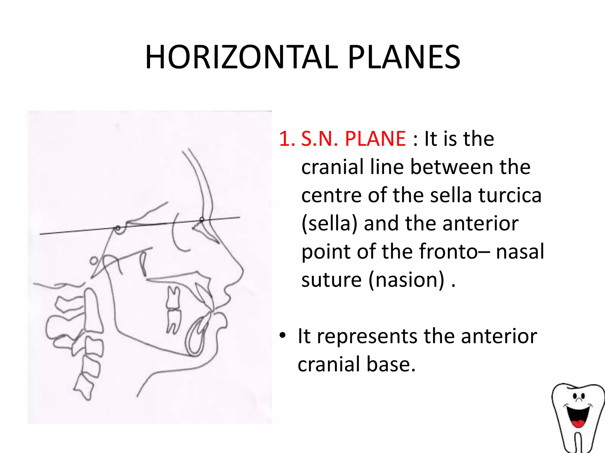 Cephalometrics ( landmarks,Lines and Planes ) | PPTX