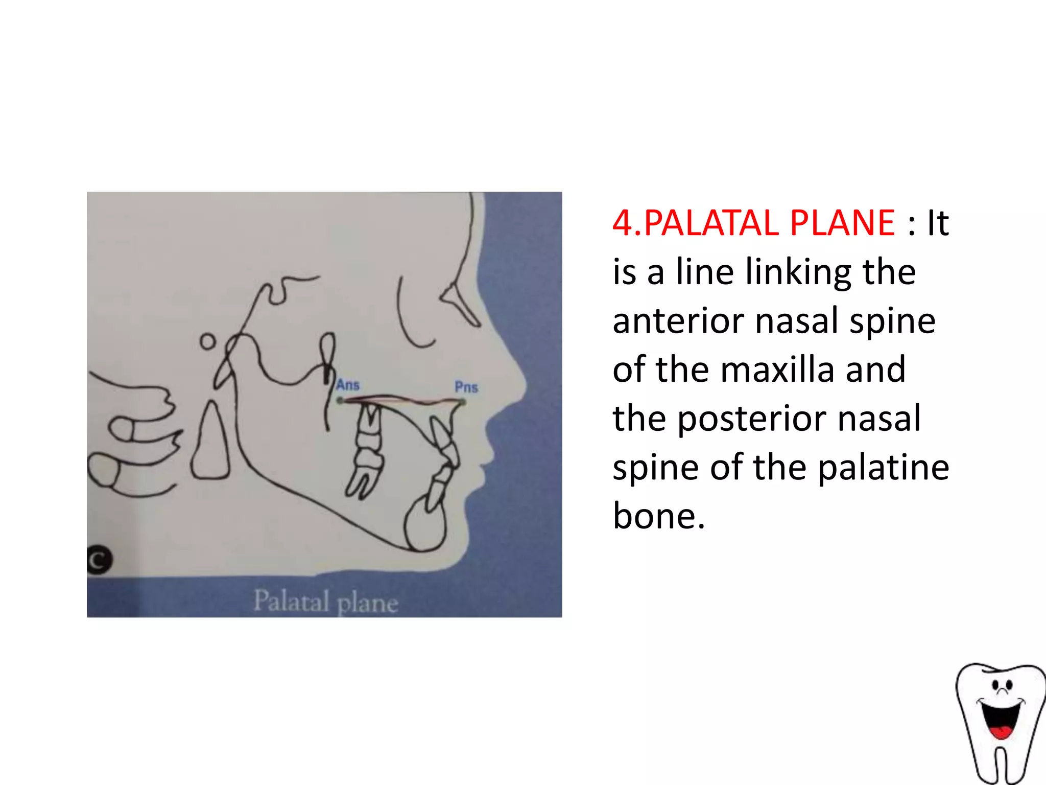 Cephalometrics ( landmarks,Lines and Planes ) | PPTX