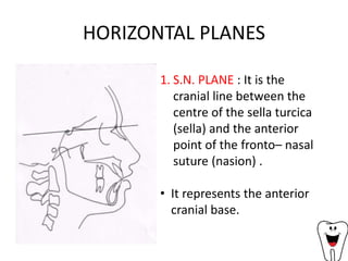 Cephalometrics ( landmarks,Lines and Planes ) | PPTX