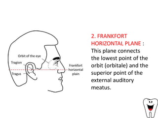 Cephalometrics ( landmarks,Lines and Planes ) | PPTX