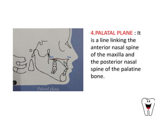 Cephalometrics ( landmarks,Lines and Planes ) | PPTX