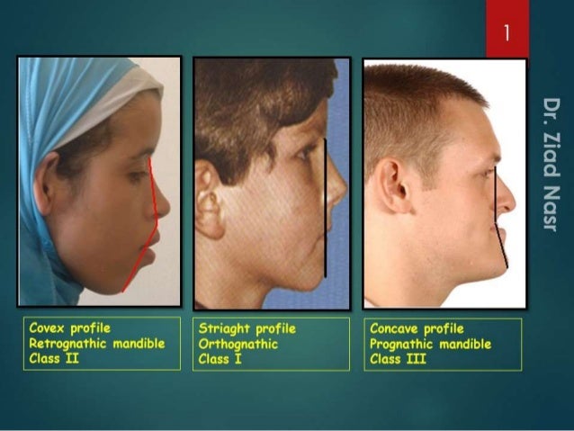 Dental Geek-Out Guide image by Laura Putney | Dental student, Dental ...