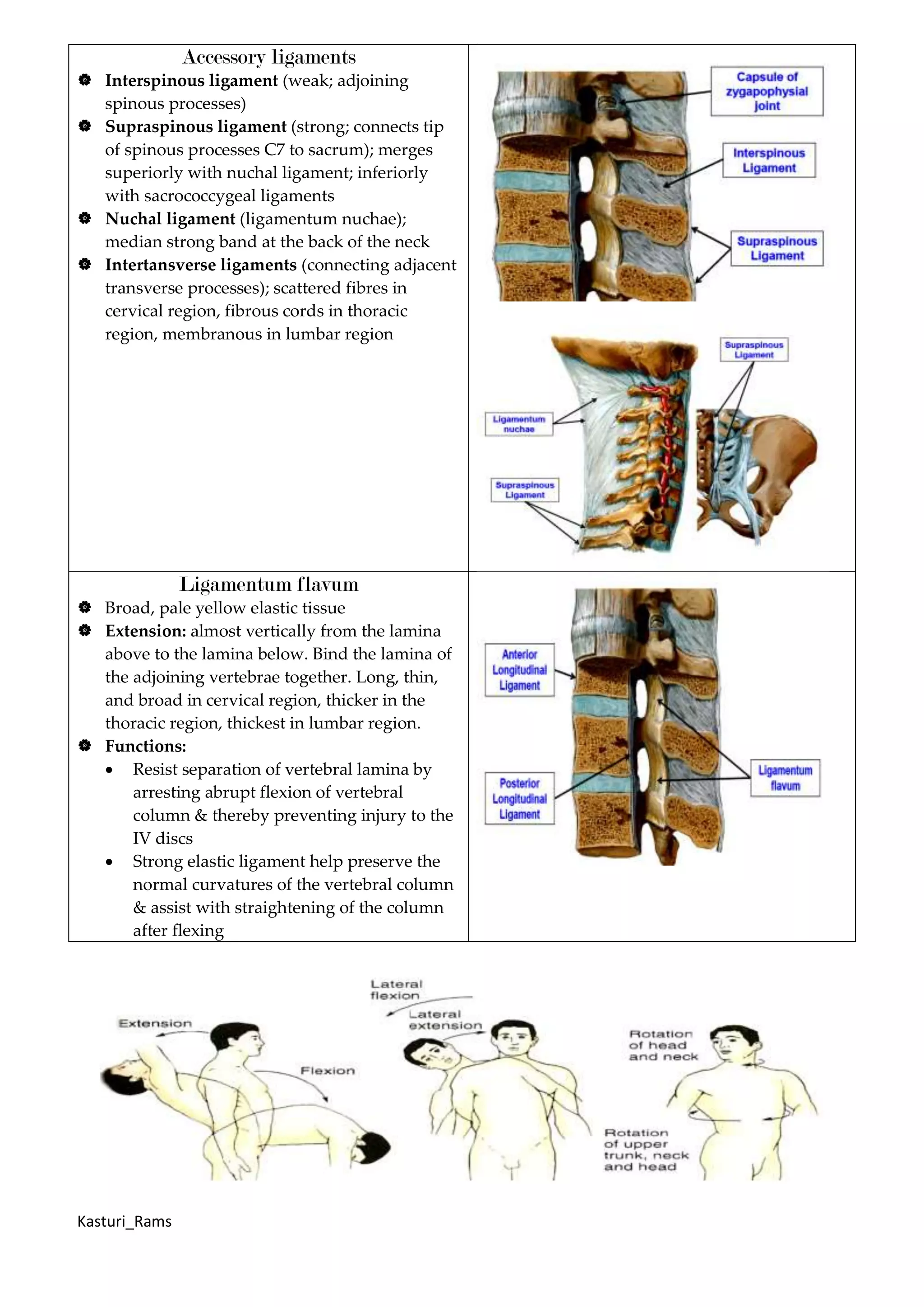 [Ortho] spine | PDF