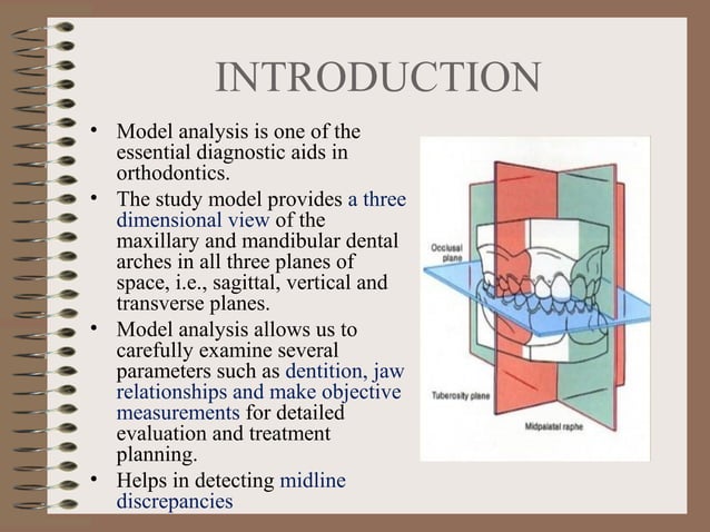 Ortho study model analysis | PPT | Dental Health | Diseases and Conditions