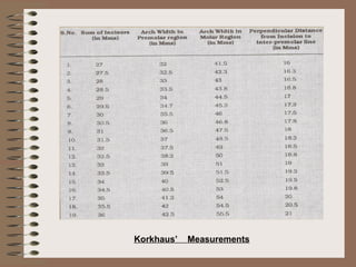 Orthodontic Study Model Analysis | PPT
