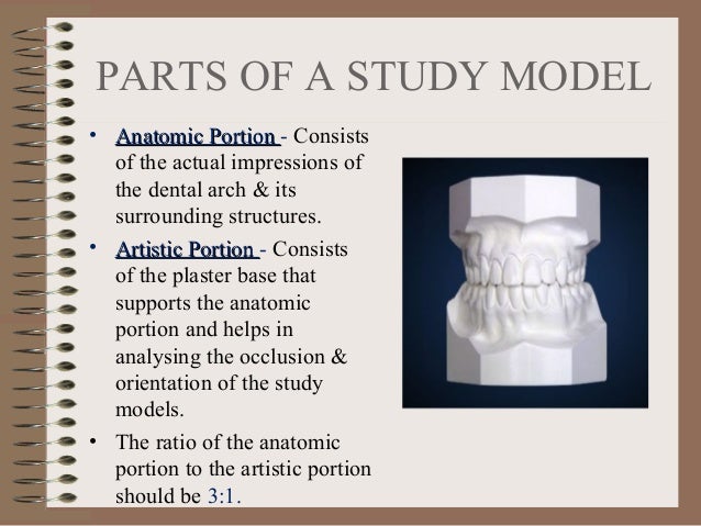 Orthodontic Study Model Analysis