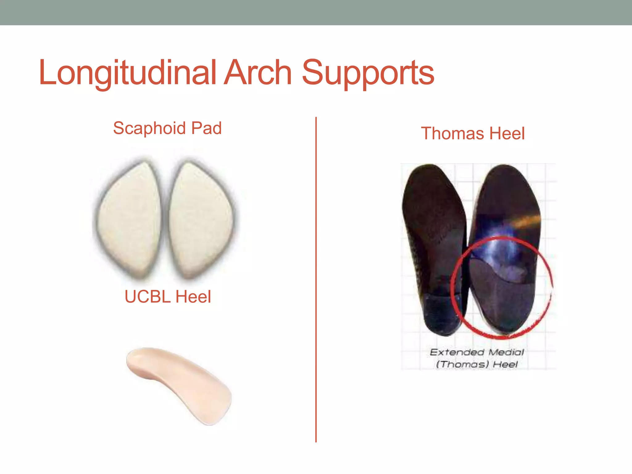 Orthotics | PPTX