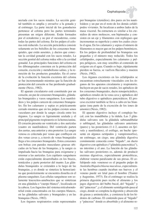 Ortiz r2014cephalopoda | PDF