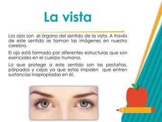 Los sentidos | PPTX