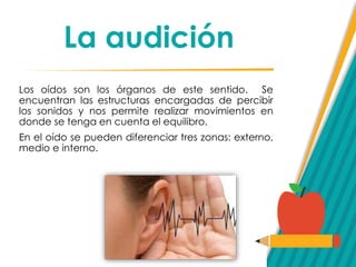 Los sentidos | PPTX
