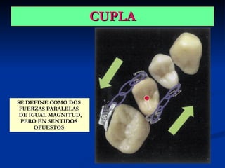 Ortodoncia | PPT