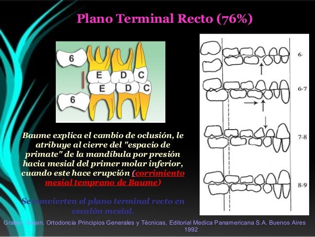 Ortodoncia analsiis de denticion mixta