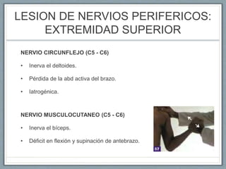 Exploración Neurologica - Ortopedia y Traumatologia | PPTX
