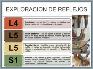 Exploración Neurologica - Ortopedia y Traumatologia | PPTX