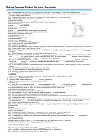 Ortopedia veterinaria Preguntero - Equino y canino | PDF
