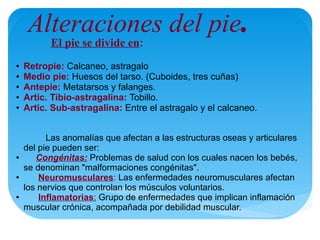 Ortopedia infantil.odp