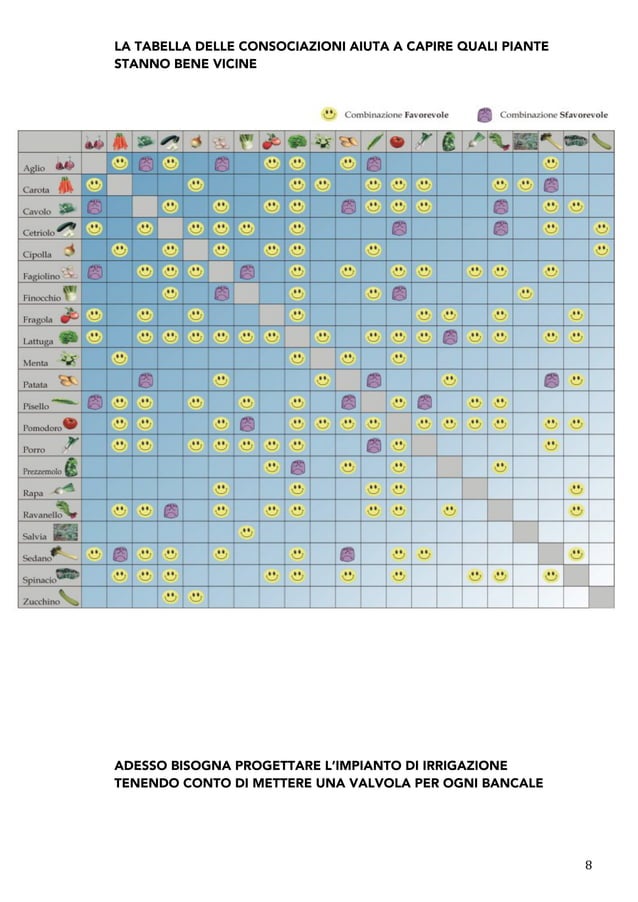 Orto sinergico il progetto | PDF