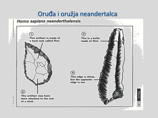Orudja i oruzja | PPT | Free Download