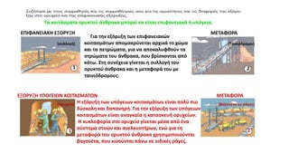Ορυκτοί άνθρακες - Ένα πολύτιμο στερεό | PPT