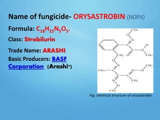 Orysastrobin & famoxadone | PPTX
