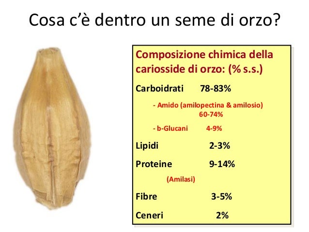 L'orzo ed i suoi utilizzi
