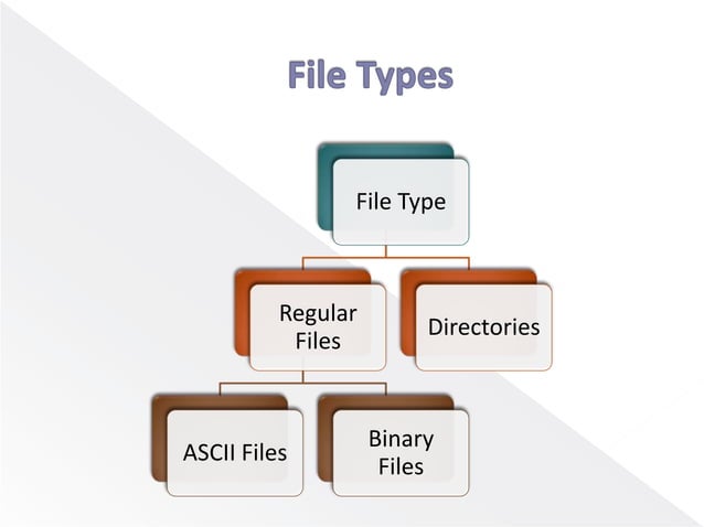 File Management – File Concept, access methods, File types and File ...