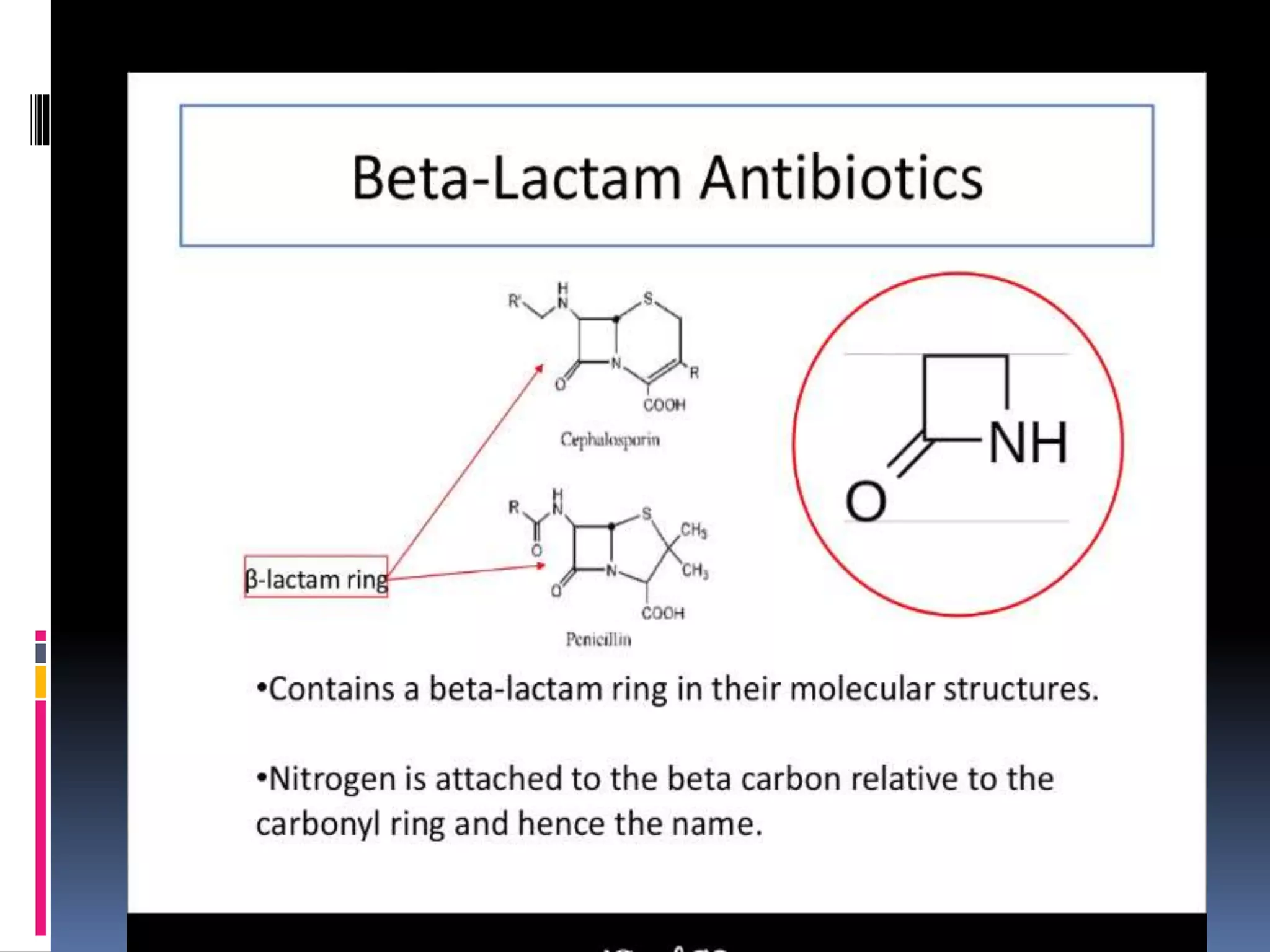 BETA LACTAM ANTIBIOTICS | PPTX