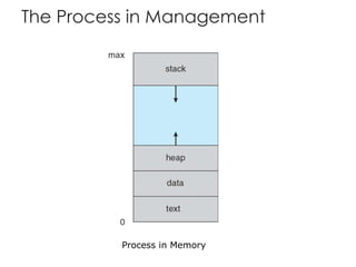 Operating System Process Management.pptx