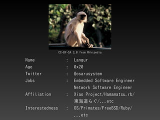 OS development beginner with breadboard version 20161126 | PDF