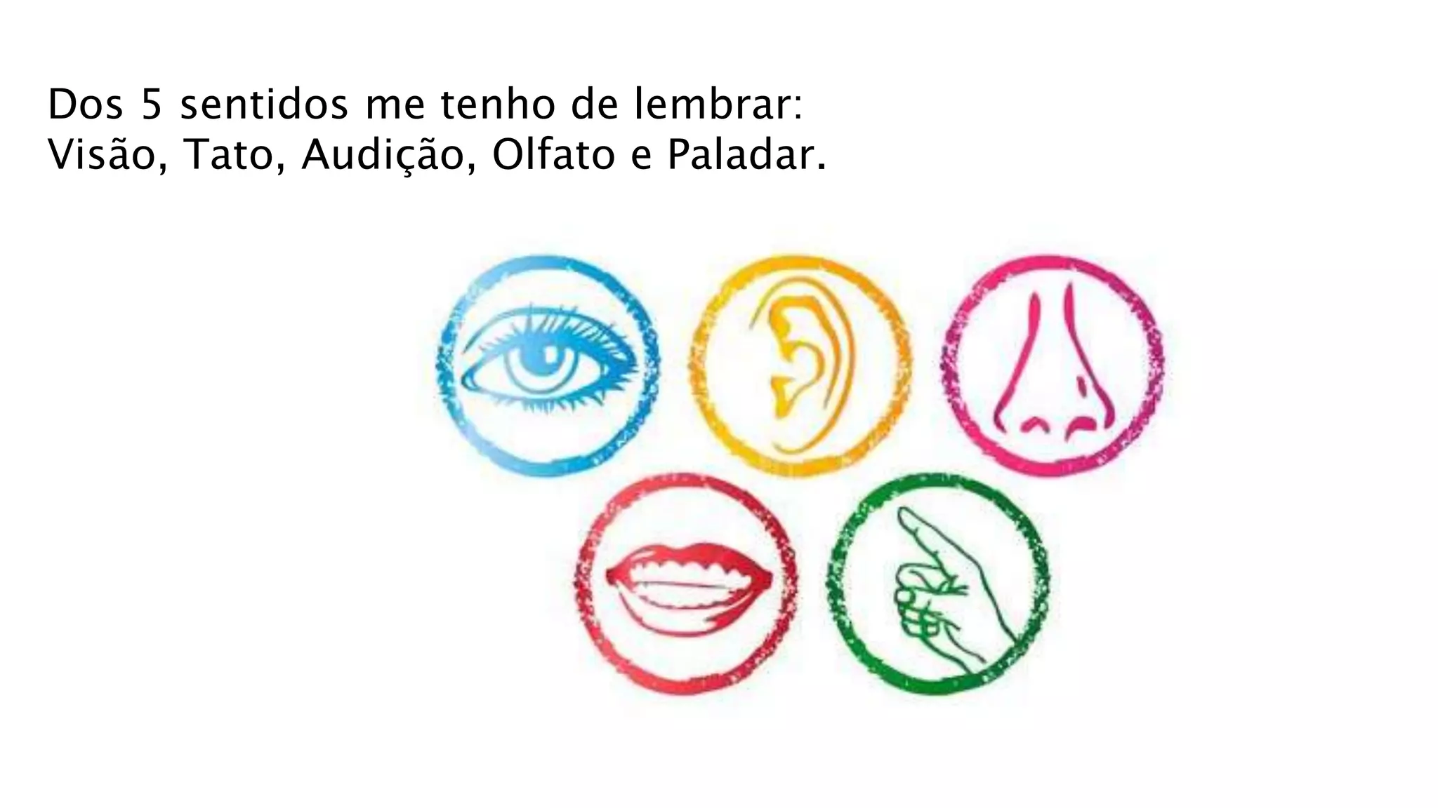 Os 5 sentidos | PPT