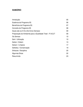 Programa 5s | PDF
