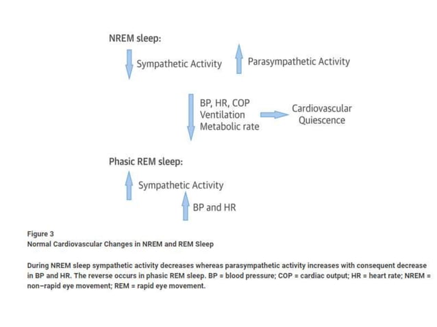 Osa and cvd | PPTX