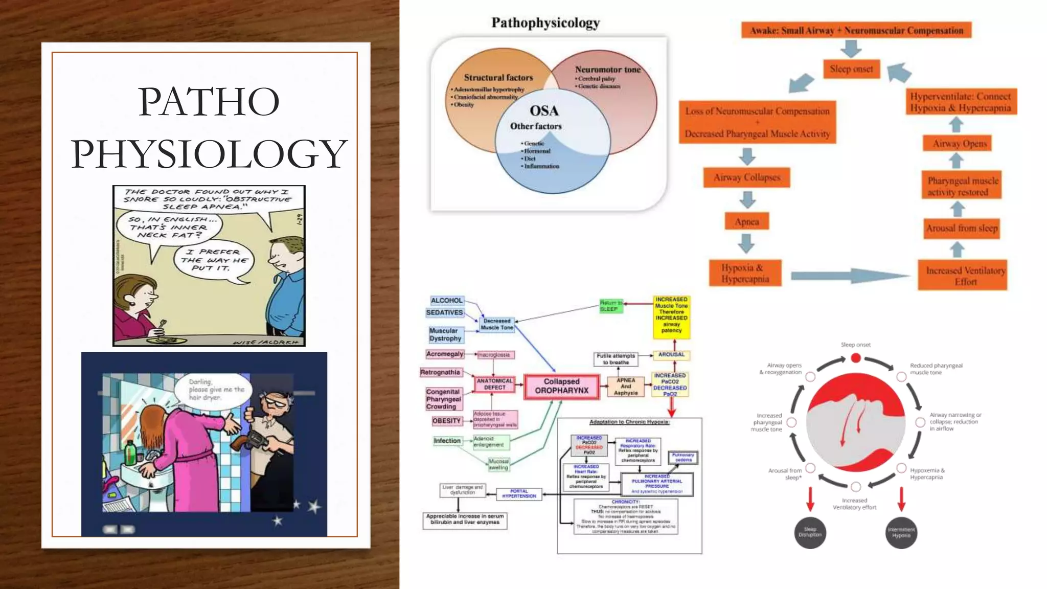 OSA (Obstructive Sleep Apnea) | PPT