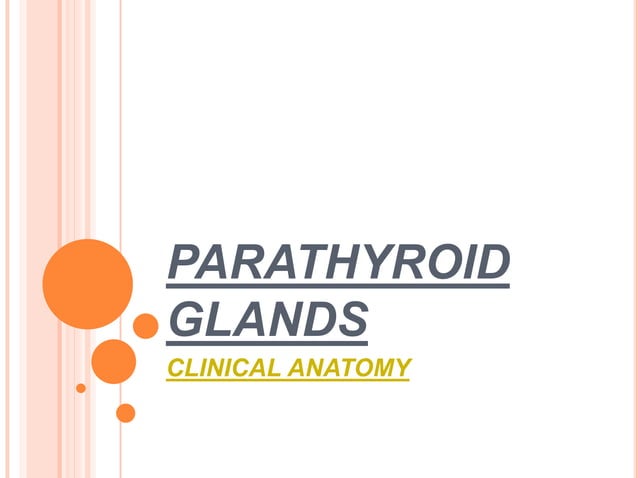 PARATHYROID GLANDS | PPT