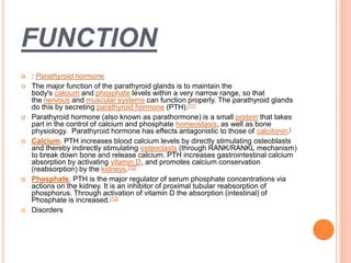 PARATHYROID GLANDS | PPT