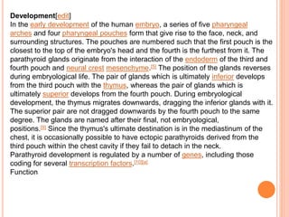 PARATHYROID GLANDS | PPT