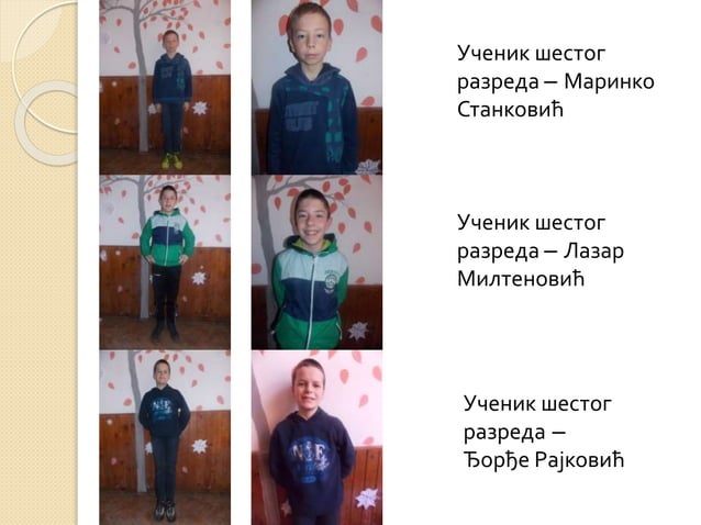 Os aleksandar stojanovic crna trava | PPT