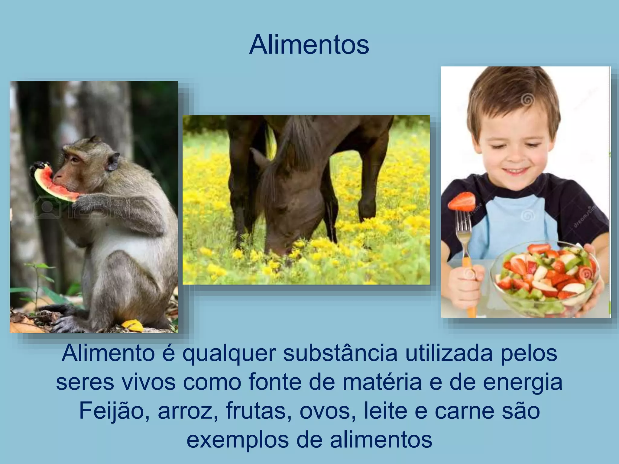 12. Os alimentos e seus nutrientes I - As funções dos alimentos e dos ...