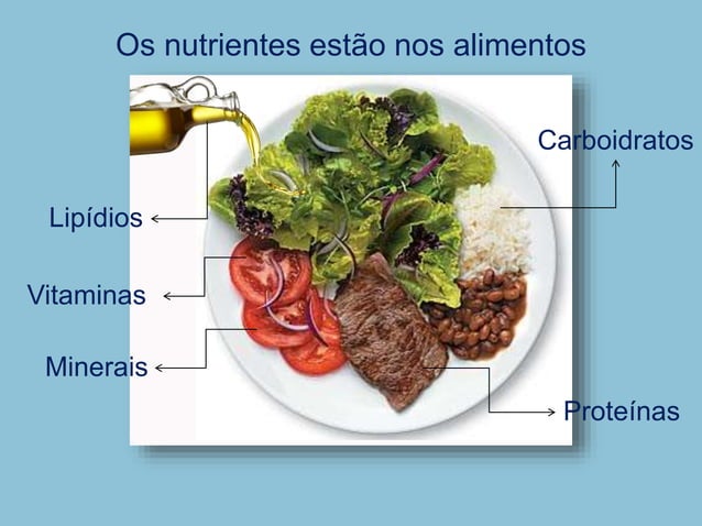 12. Os alimentos e seus nutrientes I - As funções dos alimentos e dos ...
